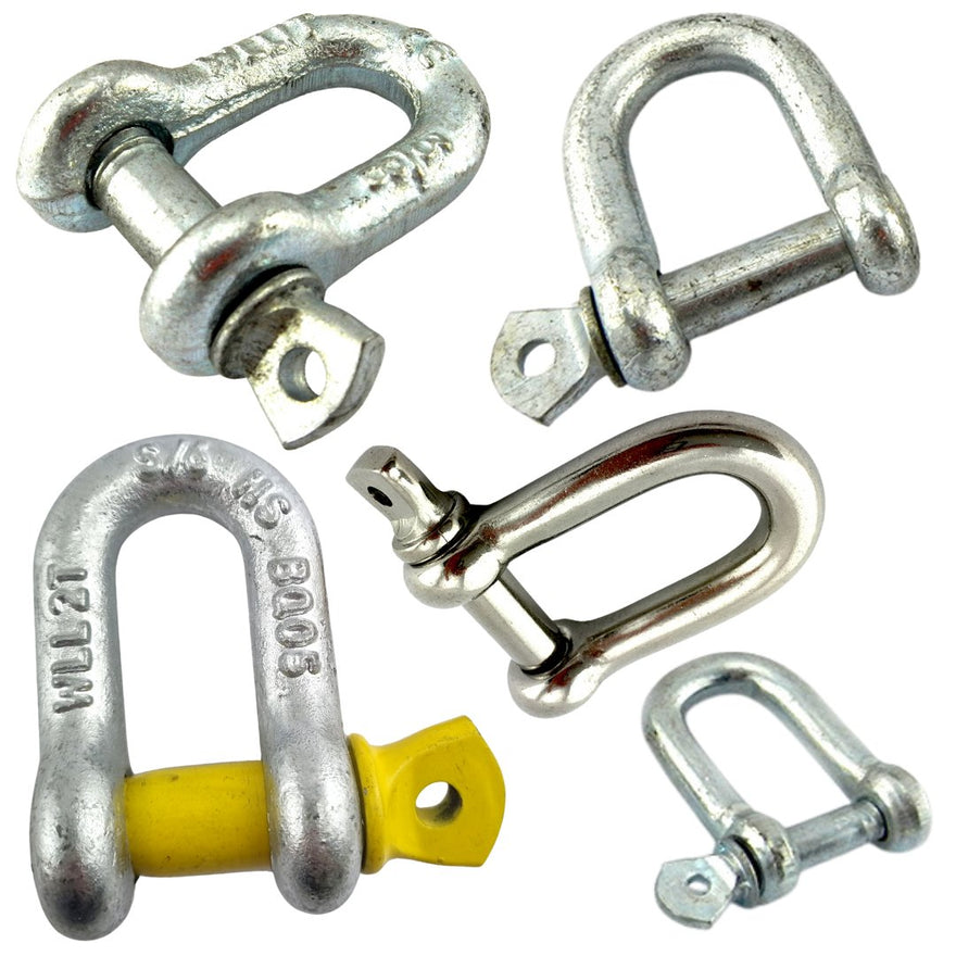 D Shackles - Stainless Steel, Galvanised and Zinc | Chain.com.au