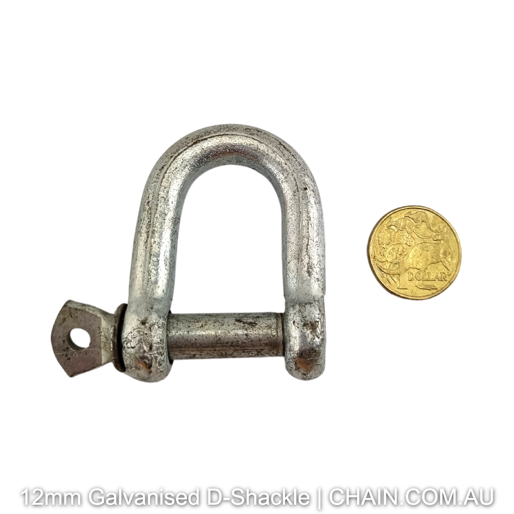 Galvanised D Shackles. Sizes 6mm - 25mm. Australia wide Shipping ...