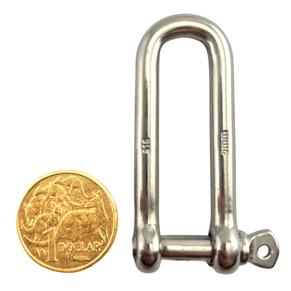 Long D Shackles in Stainless Steel. Sizes 6mm - 10mm. Australia | Chain ...