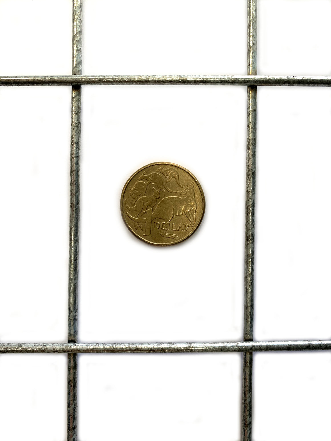 Weld mesh sheets 50mm x 75mm opening. Size: 1200 x 2400mm. | Chain.com.au