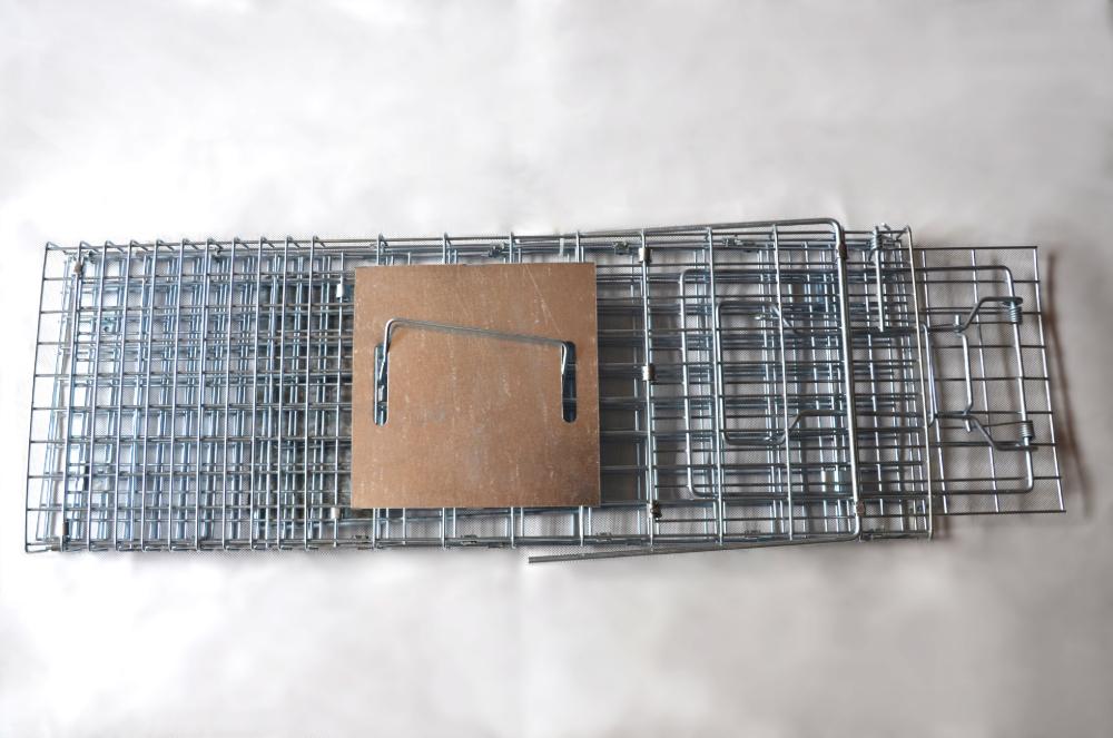 Possum Trap - Wire Animal Traps. Australia | Chain.com.au
