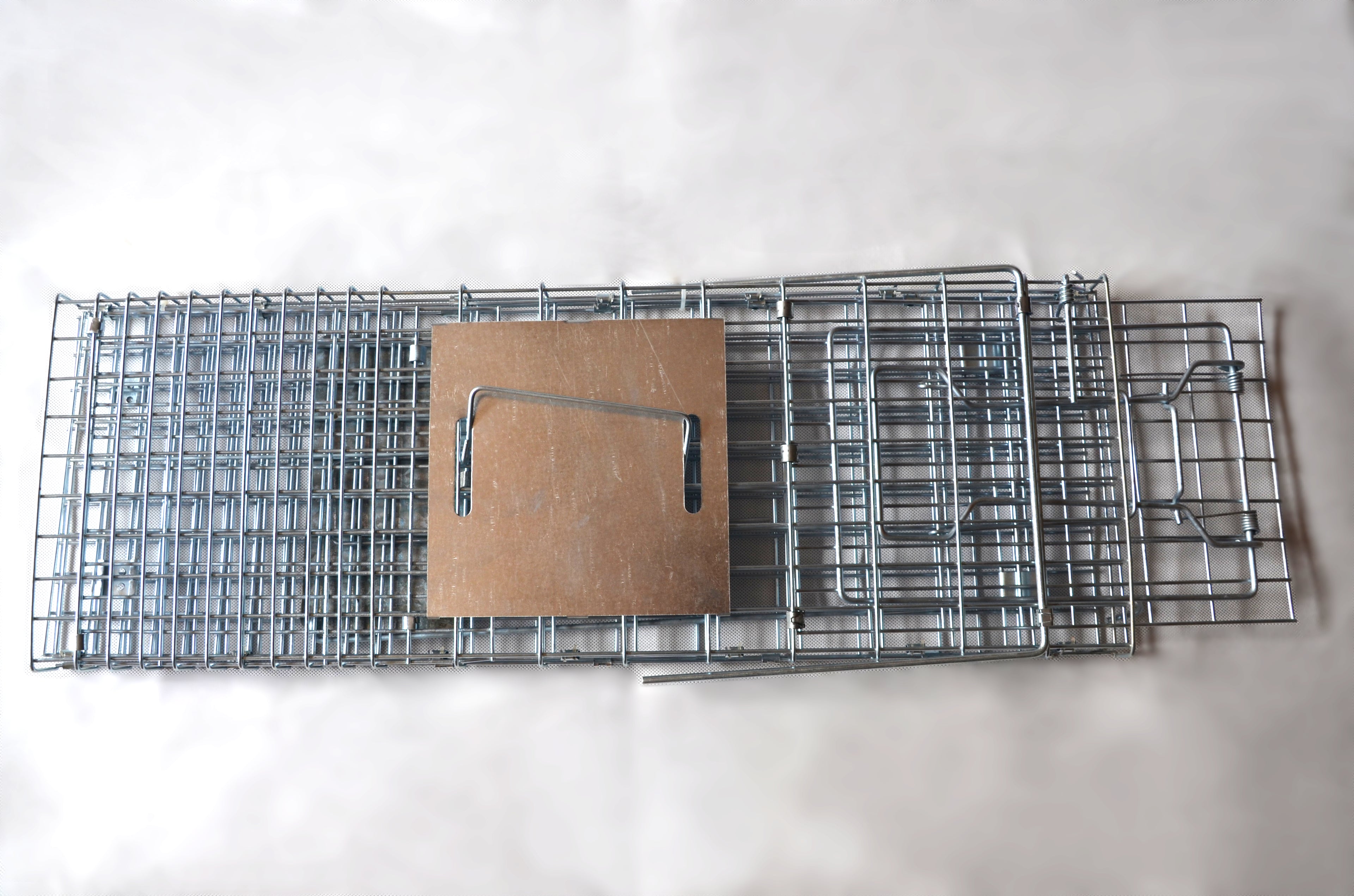 Fox Trap / Feral Cat Trap - Wire Animal Traps. Australia | Chain.com.au